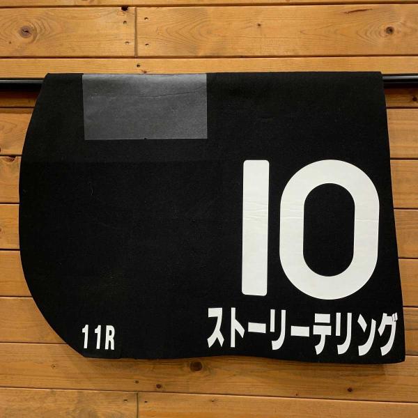 [タイプ] ストーリーテリング 実使用 ゼッケン[状態] レース実使用品のため、汚れや毛が付いています。