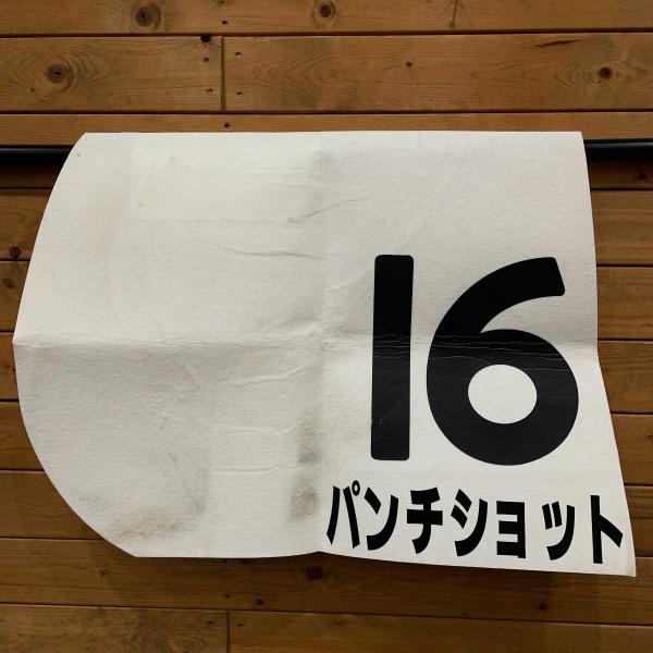 [タイプ] パンチショット 実使用 ゼッケン 3歳未勝利 川島信二[状態] レース実使用品のため、汚れや毛が付いています。