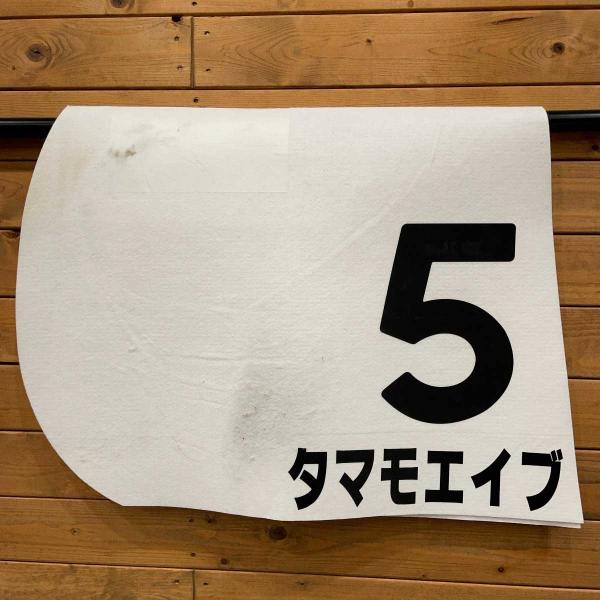 [タイプ] タマモエイブ 実使用 ゼッケン 2歳新馬 松山弘平[状態] レース実使用品のため、汚れや毛が付いています。