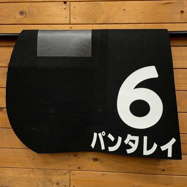 [タイプ] パンタレイ 実使用 ゼッケン[状態] レース実使用品のため、汚れや毛が付いています。