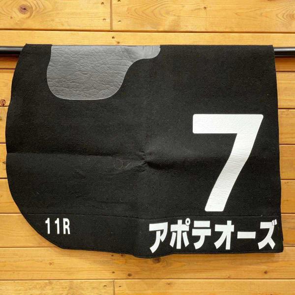 [タイプ] アポテオーズ 実使用ゼッケン 1999年8月8日 札幌日経オープン 四位洋文騎手[状態] 実際にレースで使用されたものであるため、毛や多少の汚れがついています。