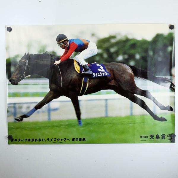 [タイプ] 第111回 天皇賞(春) ポスター B2  ライスシャワー ステージチャンプ ハギノリアルキング[状態] 未使用保管品。※角に少ししわがみられます。