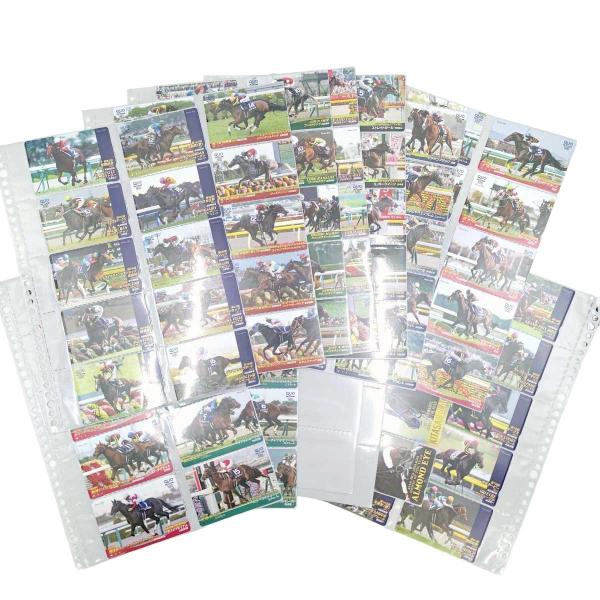 [タイプ] QUOカード クオカード 競馬 JRA 競走馬[状態] 未使用品