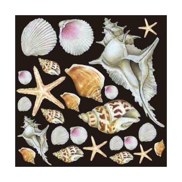 ★商品合計金額3000円(税込)以上送料無料★ブラックボードを手軽にきれいにデコレーション。シールタイプで剥しやすく、ボードを汚しません。●寸法／縦２８５×横２８５ｍｍ●材質／再剥離シート（ツヤ無しラミネート仕上げ）●機能／貼って剥がせる●...