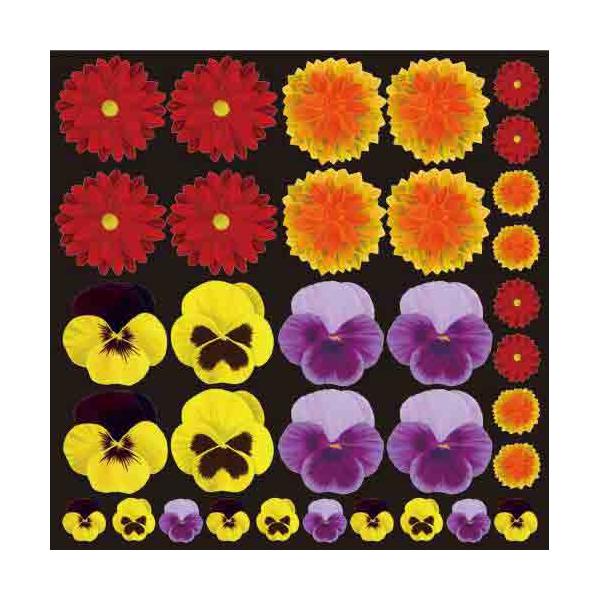 ★商品合計金額3000円(税込)以上送料無料★ブラックボードを手軽にきれいにデコレーション。シールタイプで剥しやすく、ボードを汚しません。●寸法／縦２８５×横２８５ｍｍ●材質／再剥離シート（ツヤ無しラミネート仕上げ）●機能／貼って剥がせる●...