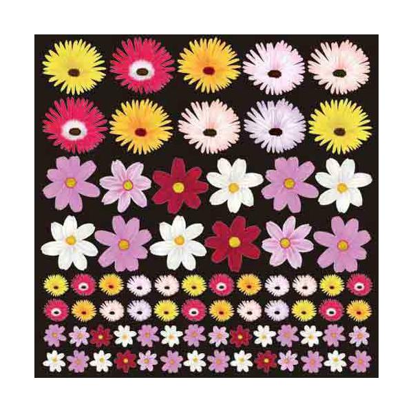 ★商品合計金額3000円(税込)以上送料無料★ブラックボードを手軽にきれいにデコレーション。シールタイプで剥しやすく、ボードを汚しません。●寸法／縦２８５×横２８５ｍｍ●材質／再剥離シート（ツヤ無しラミネート仕上げ）●機能／貼って剥がせる●...