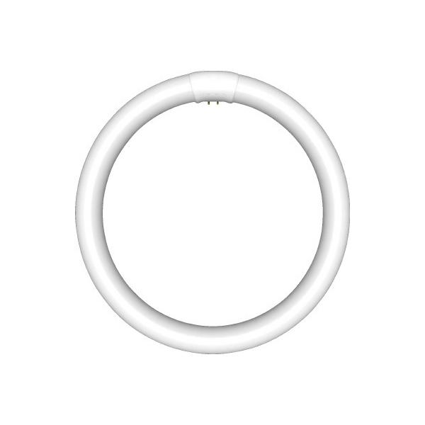 ★商品合計金額3000円(税込)以上送料無料★長寿命１５０００時間の明るい三波長形丸形蛍光灯。●種別／３２形●光色／昼白色●定格寿命／約１５０００時間●寸法／管径２９×外径２９９ｍｍ●仕様／丸菅３２Ｗ形●定格消費電力／３０Ｗ●単位／１本●メ...