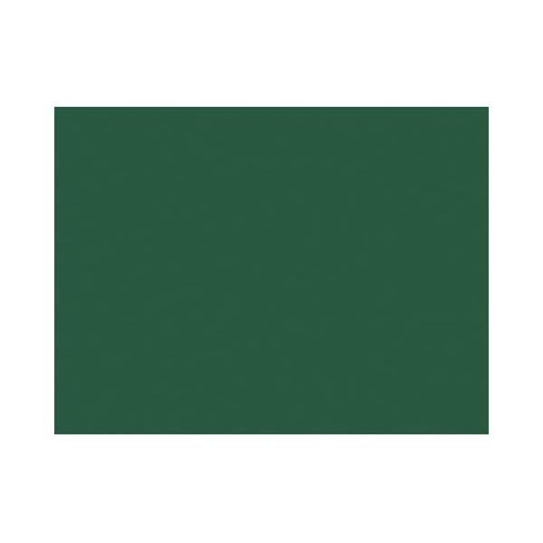 ★商品合計金額3000円(税込)以上送料無料★現場記録、写真撮影用の黒板。暗線入りで書きやすく、文字も綺麗に消せます。現場写真が撮りやすく、鮮明な読み取りが可能です。裏面スタンド付きです。仕様印刷：無地横型タイプ。●寸法／縦４５０Ｘ横６００...