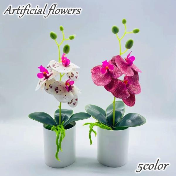 カラフルな胡蝶蘭のフェイクフラワーです。お家やお店のインテリアに◎置くだけでナチュラル＆おしゃれに彩ってくれます♪【サイズについて】画像をご参照ください。【素材について】PVC、PP【カラーについて】生産ロットにより柄の出方や色の濃淡が異な...
