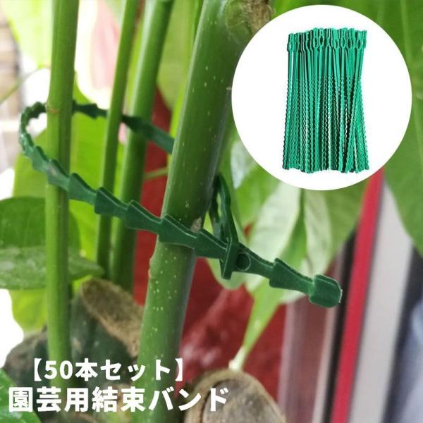 植物のサポート、垣根・支柱の固定に便利♪大容量タイプ◎園芸用結束バンド(50本セット)です。【サイズについて】画像をご参照ください。【素材について】PE【カラーについて】生産ロットにより柄の出方や色の濃淡が異なる場合がございます。お使いのモ...