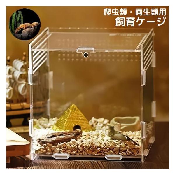 組み立て簡単！中の様子が一目で分かるクリアデザイン♪爬虫類や両生類、昆虫・その他小動物用の飼育ケージです。エサの脱走防止にも便利な、マグネットボタン式カバー付き☆※大きいサイズも販売中です。【pet-39851-1】で検索して下さい。【サイ...