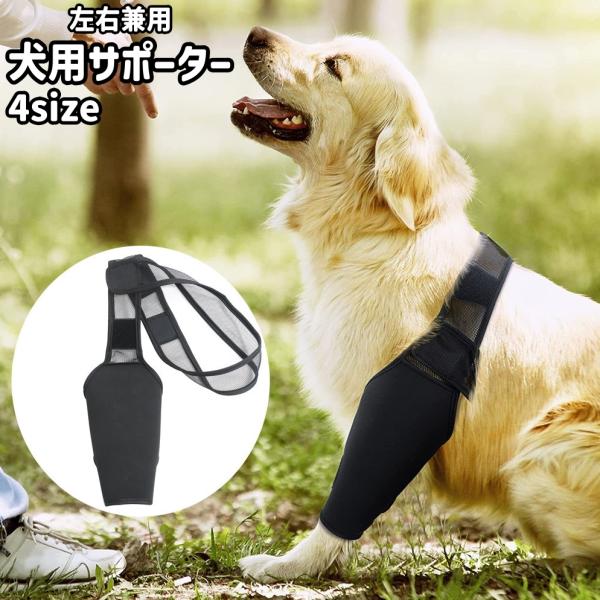 前足と後ろ足、左右兼用で様々なシーンに使用可能。犬用のサポーターです。SからXLまでの4種類のサイズがございます。【サイズについて】画像をご参照ください。【素材について】ポリエステル【カラーについて】生産ロットにより柄の出方や色の濃淡が異な...