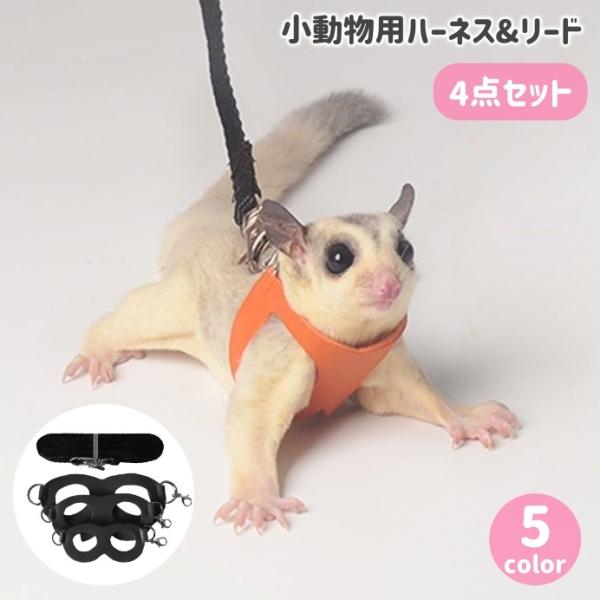 小動物用のハーネス＆リード4点セットです。ハーネスは3サイズ揃っているので、成長に合わせて使い分けができます♪お散歩やお出かけ、通院用などに◎【サイズについて】画像をご参照ください。【カラーについて】生産ロットにより柄の出方や色の濃淡が異な...