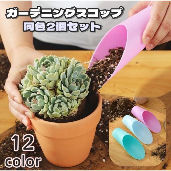 コンパクトなサイズ感♪多肉植物や盆栽の植え替えに便利なガーデニングスコップです。スコップだけでなく文房具やツールを入れておくのもあり♪こちらは同色2個セットでの販売になります。【サイズについて】画像をご参照ください。【素材について】プラスチ...
