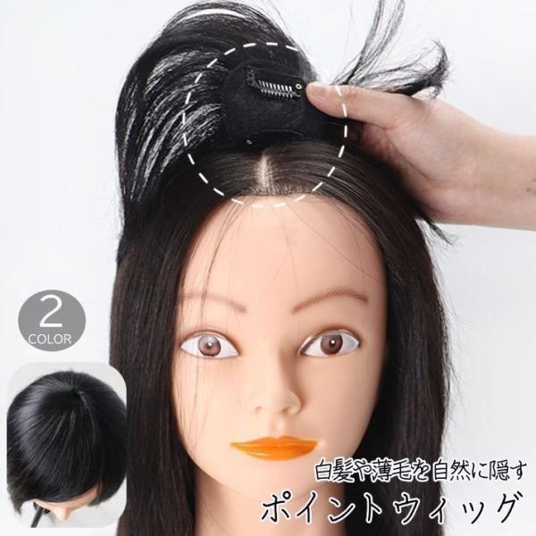 自然なつむじを再現して白髪や薄毛を隠してくれる、長さ15cmの頭頂部用のポイントウィッグ。裏面のクリップを反らして開いて、押しながら留めるだけで簡単に取り付けられます♪【カラーについて】生産ロットにより柄の出方や色の濃淡が異なる場合がござい...