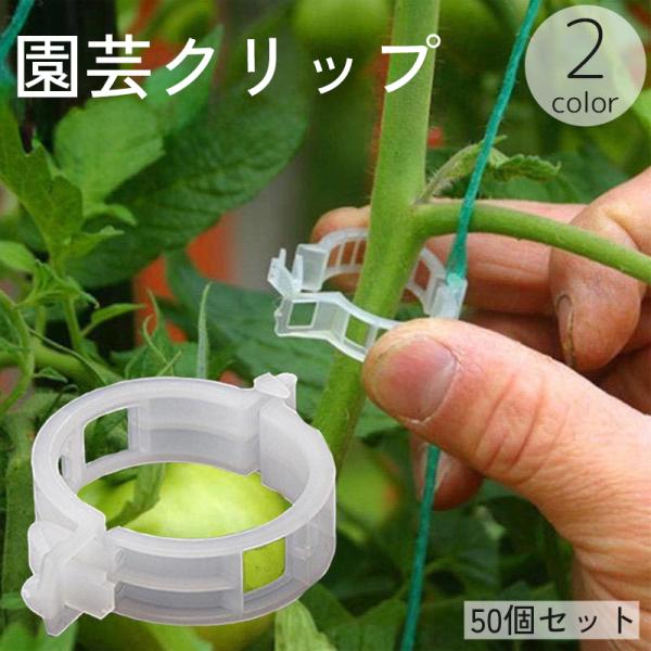植物の成長をサポートする園芸用クリップ、50個セットです。高さが出る植物やツルを伸ばす植物をクリップで支柱に留めることで成長途中で折れるリスクを軽減できます。【サイズについて】画像をご参照ください。【素材について】プラスチック【カラーについ...