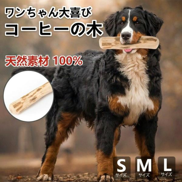 ■天然素材ですので飲み込んでも害はございません。ただし、大きな破片を飲み込むと怪我をする恐れがありますので、犬が誤って飲み込まないよう注意してください。製品が破れた場合は、すぐに拾ってください。■【100％コーヒーウッド、添加物やカフェイン...