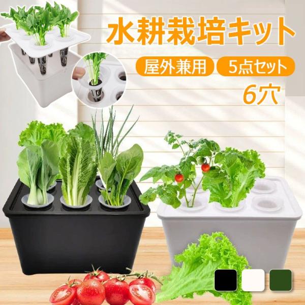 商品仕様 カラー： ホワイト サイズ： 12*18*10.5ｃｍ 素材： PP素材 お勧めポイント 【高品質素材】PP素材は優れた耐食性と耐水性を備えており、長期間使用しても変形や黄ばみが起こりにくいです。本体は軽量で頑丈なため移動が楽で、...