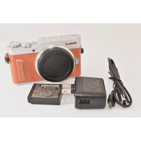 【外観】通常使用によるスレ、キズが少々見受けられます。液晶モニターはスレ、キズ少なくキレイです。【動作チェック】一連の動作確認しましたが、機能全般問題ありませんでした。【付属品】・ボディキャップ・バッテリー・ACアダプター・USBケーブル