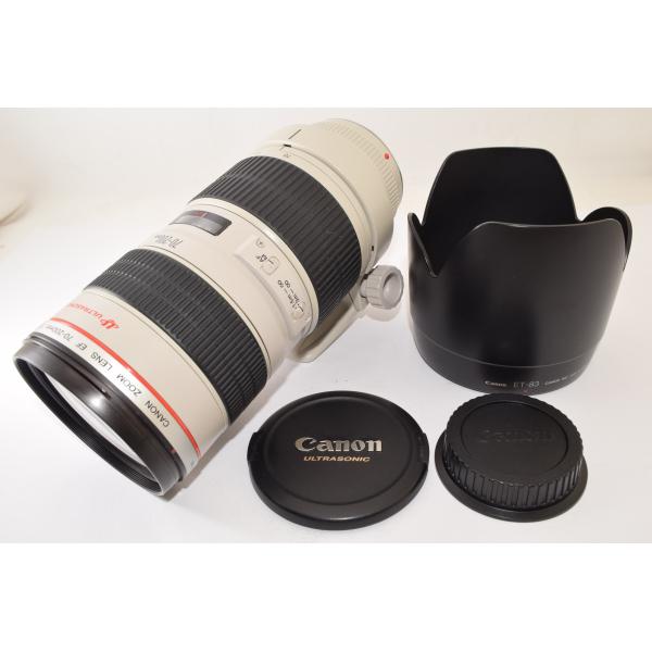 ※現状渡し、ノークレーム、ノーリタンにてお願い致します。【外観】通常使用によるスレ、キズ少なく全体的に綺麗です。アタリへこみなどの大きなダメージもありません。【光学系】このレンズ特有のクモリが見受けられます。カビ、キズは見受けられませんでし...