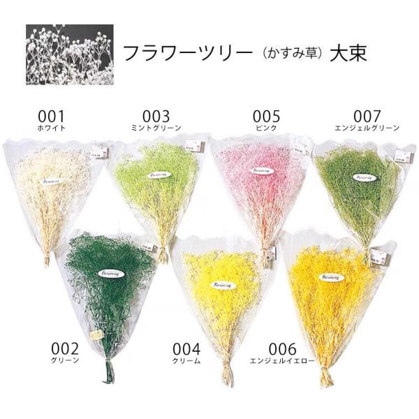 かすみ草のドライフラワーです。季節表現に適した色がきれいに着色されています。穂先をカットしてベースに刺したり、束ねて樹木にしたりと使い方は自由自在です。数量により送料追加となる場合がございます。その場合、当店よりメールにてご連絡をさせていた...