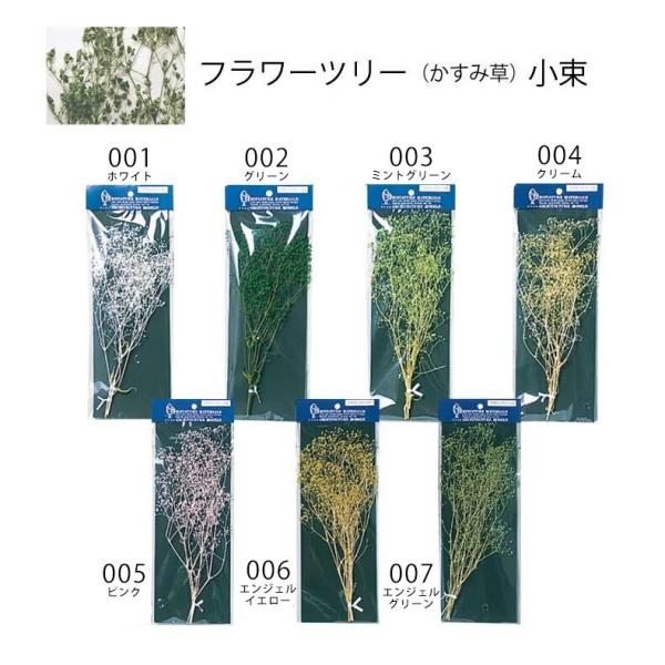 かすみ草のドライフラワーです。季節表現に適した色がきれいに着色されています。穂先をカットしてベースに刺したり、束ねて樹木にしたりと使い方は自由自在です。数量により送料追加となる場合がございます。その場合、当店よりメールにてご連絡をさせていた...