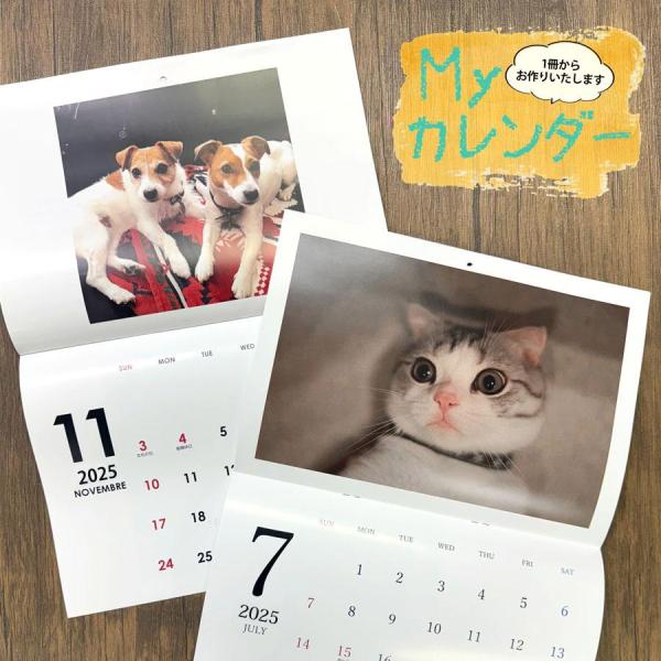 イラストや風景、花の写真。大切な家族やかわいいうちの子（ペットなど）たち。スマホやカメラに保存されているお写真で自分だけのカレンダー作りませんか？2026年1月始まり〜2027年1月の13ヶ月分フォント【ゴシック体】【明朝体】からお選びくだ...