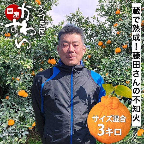 「有田市認定みかん農家 藤田さんの不知火」いろんな柑橘を育てる藤田さん！今回はデコポンと同品種の不知火(しらぬい)のご案内です。藤田さんの不知火は、樹上で完熟まで成らすのではなく、頃合いに実った順に収穫し、倉庫でじっくり熟成させます。熟成に...