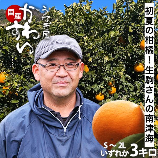 「生駒さんの南津梅 なつみ」早生みかんで大人気だった生駒さんのなつみです！こちらの商品は擦れや形不揃いのためご自宅におすすめ♪でも味は一流です！なつみとは…「カラマンダリン」と「吉浦ポンカン」を交配した品種！5月に花が咲き、実が熟し収穫でき...