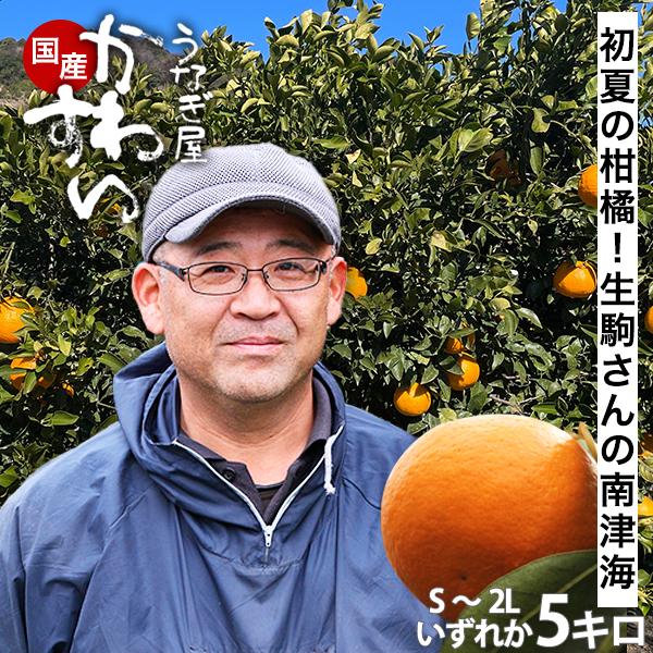 「生駒さんの南津梅 なつみ」早生みかんで大人気だった生駒さんのなつみです！こちらの商品は擦れや形不揃いのためご自宅におすすめ♪でも味は一流です！なつみとは…「カラマンダリン」と「吉浦ポンカン」を交配した品種！5月に花が咲き、実が熟し収穫でき...