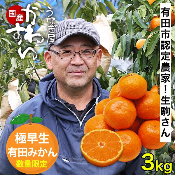 --------極早生みかん！皮が緑がかっており、この時期ならではのさわやかな甘味と酸味が特徴！品種は極早生の中でも人気のある「ゆら早生」です。この時期だけのみかんを是非！「生駒さんの極早生みかん 3キロ」有田市の認定を取得した生駒さんのレ...