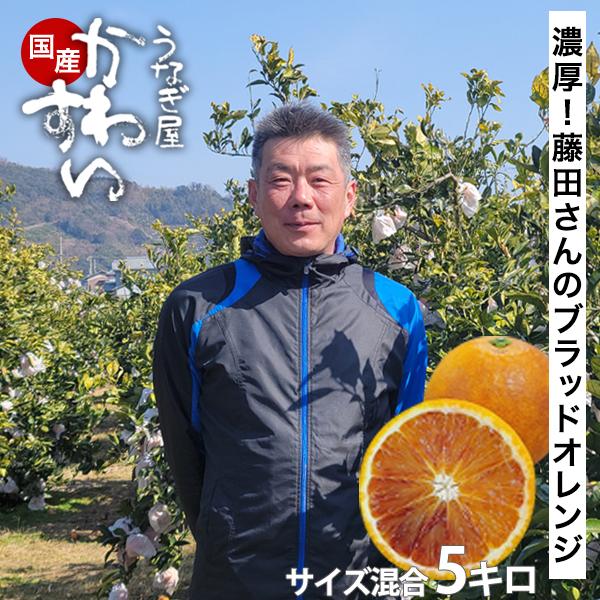 「有田市認定みかん農家 藤田さんのブラッドオレンジ」いろんな柑橘を育てる藤田さん！今回はブラッドオレンジのご案内です。ブラッドオレンジとは…果肉に入った赤みが特徴の柑橘で主にサングイネッロ種、タロッコ種、モロ種があります。藤田さんの農園では...
