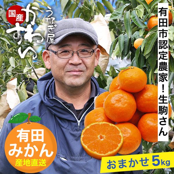 ＼期間限定ポイント10倍／12/19(金)0:00〜12/26(金)13:59年内発送の受付は12月25日13:59まで最終発送日は12月27日です。------------「生駒さんのおまかせみかん 5キロ」有田市の認定を取得した生駒さん...