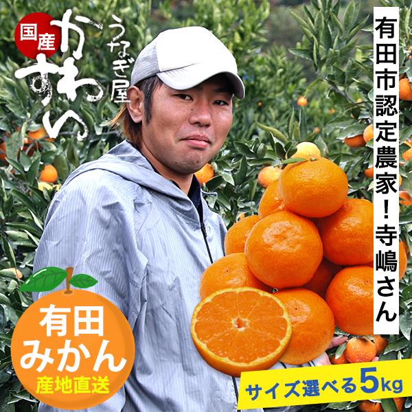 ＼期間限定ポイント10倍／12/19(金)0:00〜12/26(金)13:59年内発送の受付は12月25日13:59まで最終発送日は12月27日です。------------「寺嶋さんの有田みかん 5キロ」有田市の認定を取得した寺嶋さんのレ...