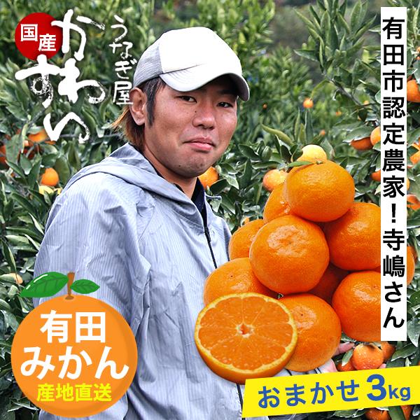 ＼期間限定ポイント10倍／12/19(金)0:00〜12/26(金)13:59年内発送の受付は12月25日13:59まで最終発送日は12月27日です。------------「寺嶋さんの有田みかん 3キロ」有田市の認定を取得した寺嶋さんのレ...