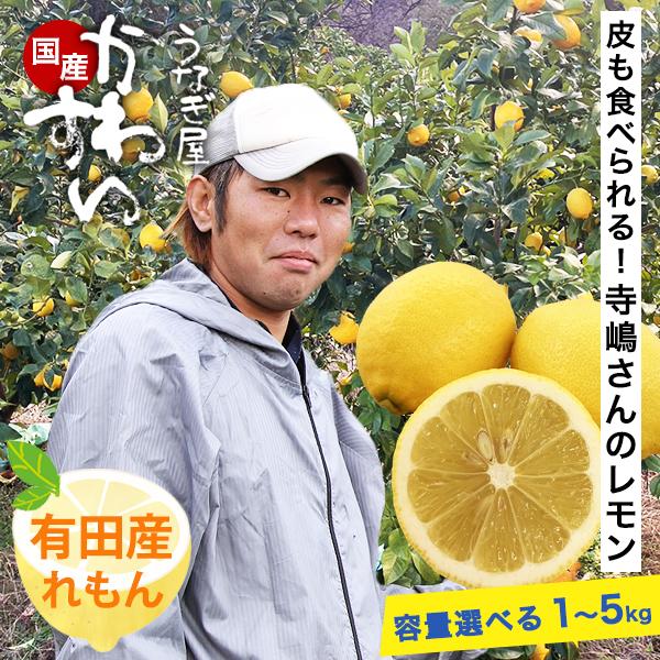 「寺嶋さんの有田産レモン 」有田市の認定を取得した寺嶋さんが作るレモン！皮ごと美味しくお召し上がり頂きたいという思いから減農薬にこだわっています。防腐剤、防カビ剤、ワックス不使用で安全なレモンをお届けします。寺嶋さんは土にも人にも優しいみか...