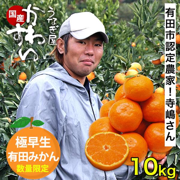 -------今年も寺嶋さんのゆら早生みかんを販売中！皮が緑がかっており、この時期ならではのさわやかな甘味と酸味が特徴！数量限定で販売します！この時期だけのみかんを是非！「寺嶋さんの有田みかん 極早生 10キロ」有田市の認定を取得した寺嶋さ...