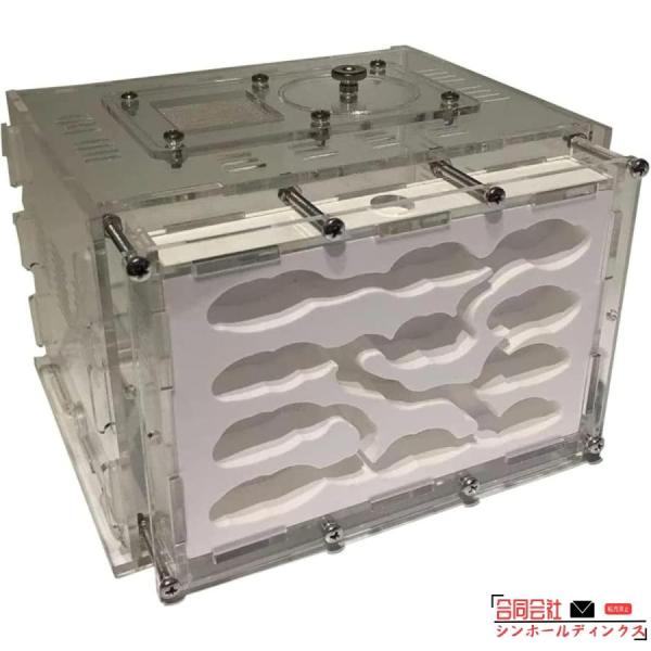 透明アクリル製の携帯電話ケースは360度どの方向からでも内部を観察できます。 これらの驚くべき生き物たちの組織的な社会活動を見ることができることは、子供たちにとって非常に重要な経験です。 また、夏の旅行や自由研究にも最適です。この巣は、アリ...