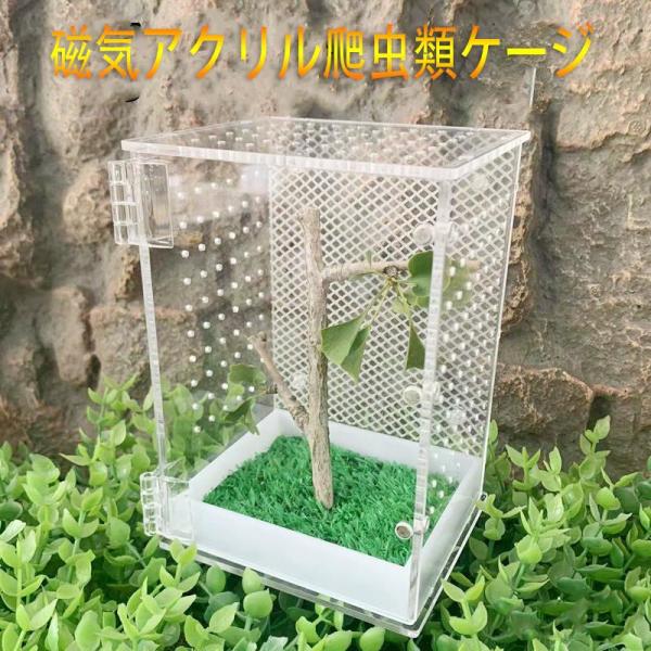 防水設計: 装飾用および水景用品用のグリッドを備えた背面、防水性、頑丈な職人技により、水が内部に漏れないようにします。磁気ドア：爬虫類テラリウムタンクは、掃除や交換のために簡単に開くことができる磁気ドアで設計されており、ペットが逃げるのを効...