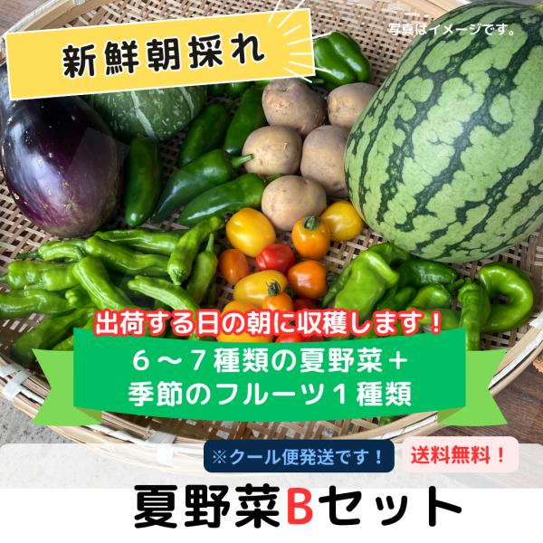 農家が、おいしいと厳選した夏野菜。注文をいただいてから収穫し、新鮮なその日のうちに発送します。夏なのでクール便にて発送いたします。＊＊＊野菜について＊＊＊・美味しいと厳選し育てた夏野菜。・6〜7種類の夏野菜が入ります。・発送直前に収穫します...