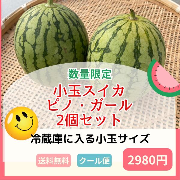 昨年大人気だった「ピノガール」を今年も販売いたします。予約いただければ、収穫（７月下旬予定）できしだい発送いたします。・ピノガール（スイカ）甘くて種まで食べられる小玉スイカ。小玉スイカなのに糖度も高く、シャキシャキ感もあり、多くのテレビ番組...