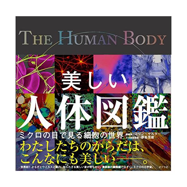 ※掲載されている商品の写真は代表写真となっておりますので、外箱、説明書、リモコン等は付属しない場合がございます。用途機能として最低限の付属品はお送りいたしますが、気になる方はご購入前にお問い合わせをお願いいたします。またイヤホン・カートリッ...