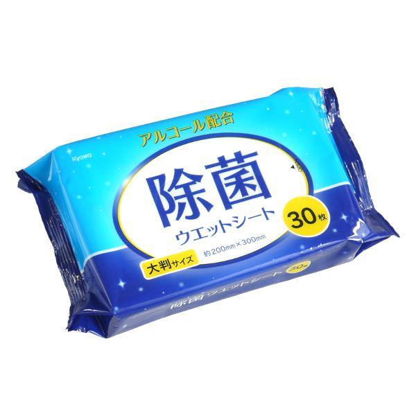 ウェットシート、30枚入りです。アルコール配合の除菌できるウェットシートです。手指や身の回りの拭き取りに便利です。●1枚のサイズ(約)・200×300mm●材質・レーヨン ポリエステル●成分・水 エタノール 除菌剤 防腐剤 PG●用途・ウェ...