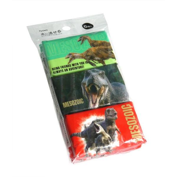 ポケットティッシュ、6個入りです。ミニサイズのポケットティッシュです。トイレでも使えます。●1枚のサイズ(約)・200×168mm●材質・パルプ●用途・ティッシュペーパー チリ紙 鼻紙 紙 掃除●キーワード・てぃっしゅぺーぱー ちりがみ は...