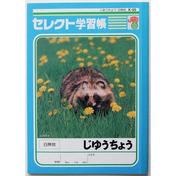 自由帳です。学校や家でも使える無地の自由帳です。文字の練習をしたりお絵描きなど自由に使えます。※リニューアルにより写真以外のパッケージやデザイン、色、サイズ、種類、成分になる場合有り※写真以外の種類になる場合有り●サイズ(約)・179×25...