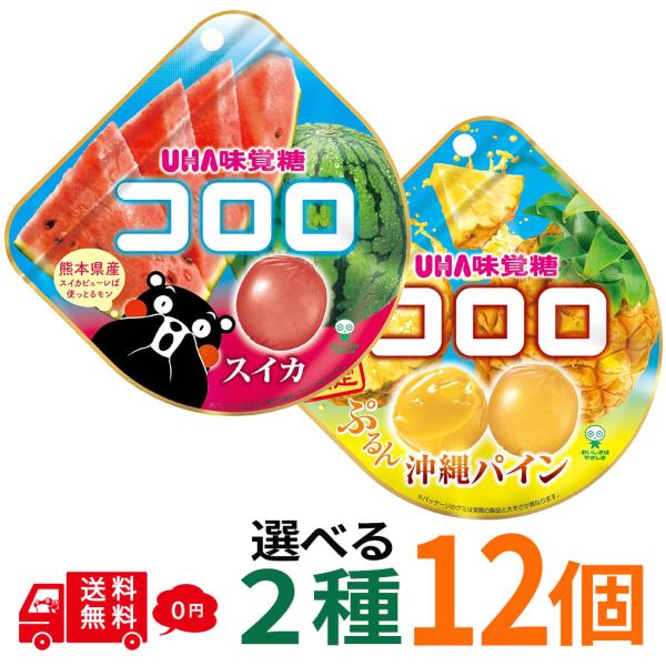 ※送料無料 メール便（ポスト投函・常温・日時指定不可）----------------------------------------------プチッとはじけるジューシーな食感！夏限定のコロロです。高温時は、グミの付着や表面が溶ける場合あ...