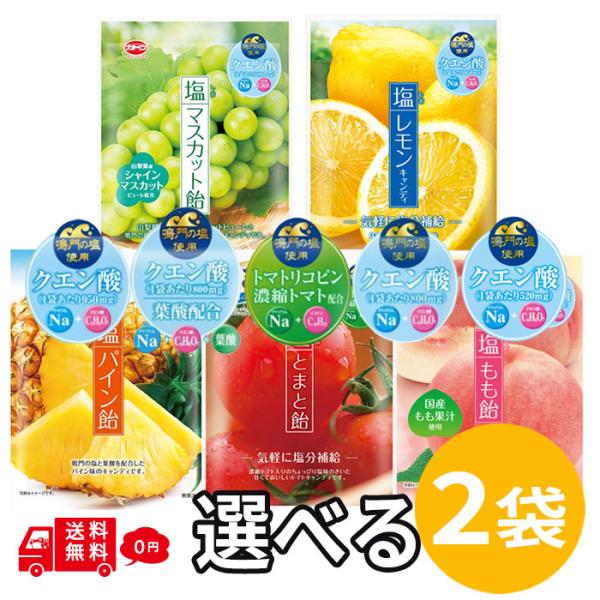 送料無料 メール便(常温・ポスト投函・日時指定不可)----------------------------------------------2026年、今年のは新フレーバー「塩もも」気軽に塩分補給ができる塩あめセットです。5種類のフレー...