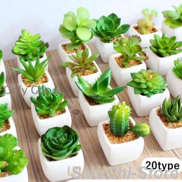 お部屋に飾ることで癒し効果抜群の人工観葉植物です。ミニサイズなので場所を気にせずに置けるのでお勧めです。【サイズについて】（全体）高さ平均：8cm　直径：6cm（鉢）高さ：4.5cm　直径：5.5cm【素材について】PVC