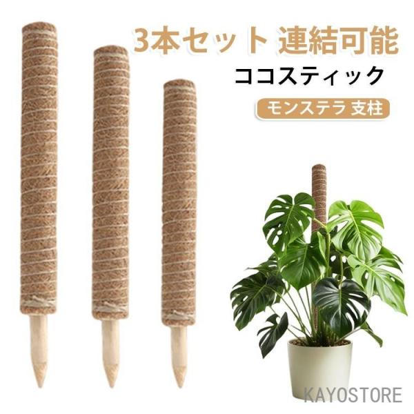 商品名:3本セット ココスティック モンステラ 支柱 おしゃれ 植物 支柱 ポトス 高さ調整可能 頑丈 耐久 ココナッツ 園芸支柱 植物支柱 花ささえ 連結 延長 木製 ココナッツ支柱 ガーデニング用支柱 観葉支柱 植物サポート商品説明:コ...