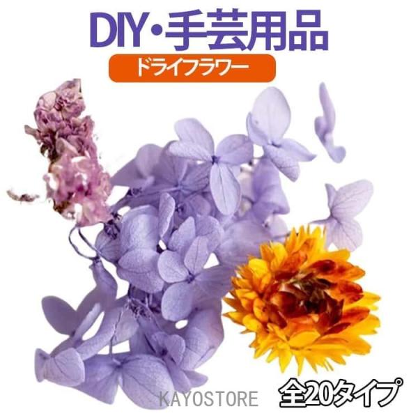 内容物：写真の通り